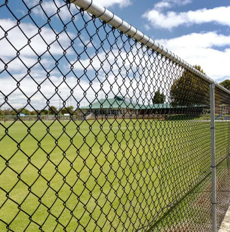 Chain link fence – Zhongtang Iron And Steel (shandong) Group Co., Ltd.